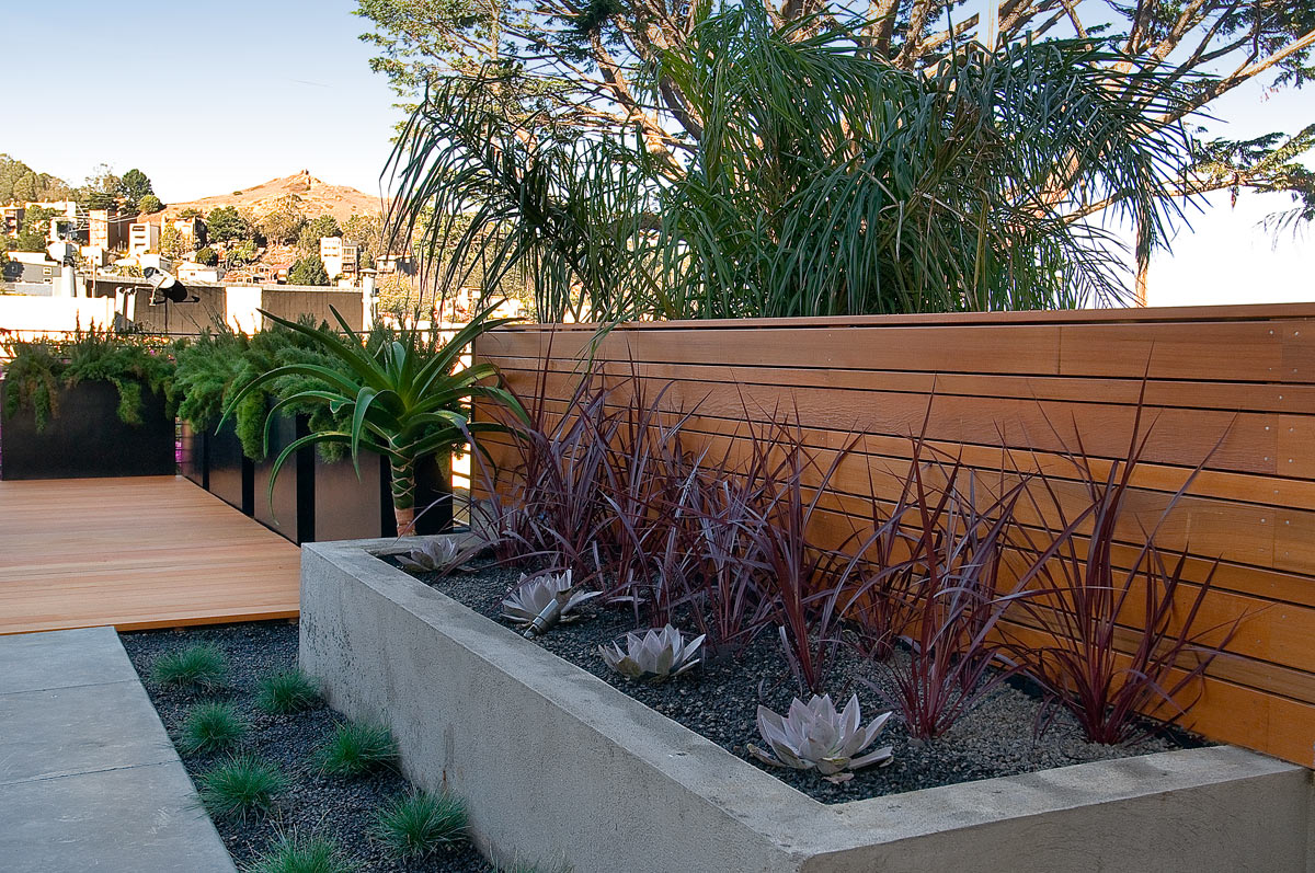 Equilibrium House I — Essential Habitat Architecture