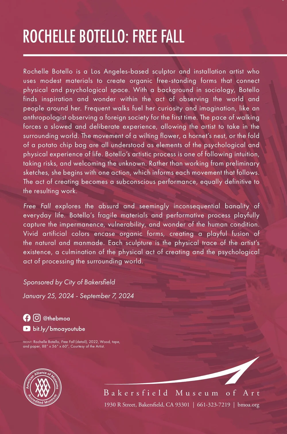 Rochelle Botello Free Fall — Bakersfield Museum of Art