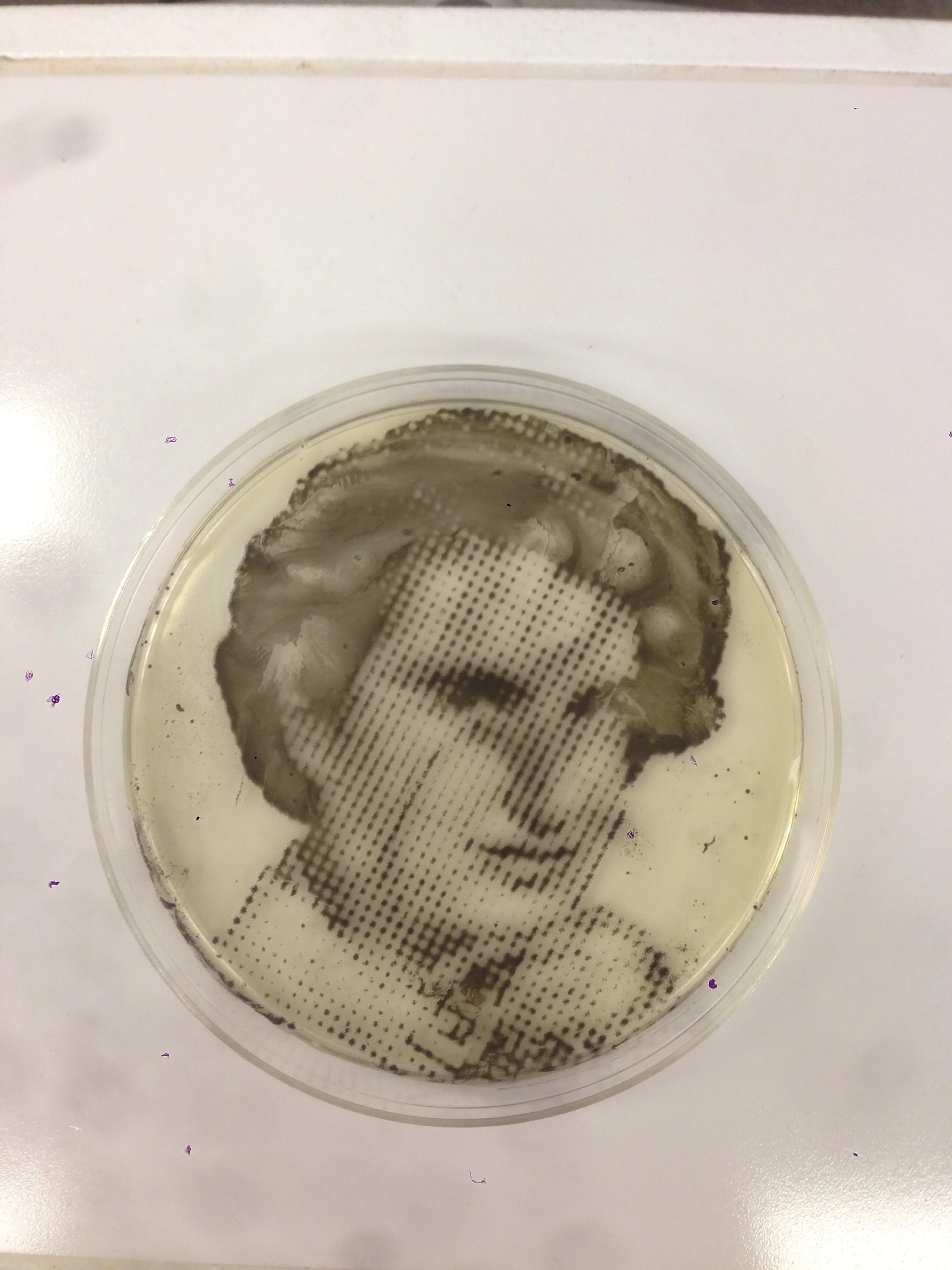 Blog — Zachary Copfer