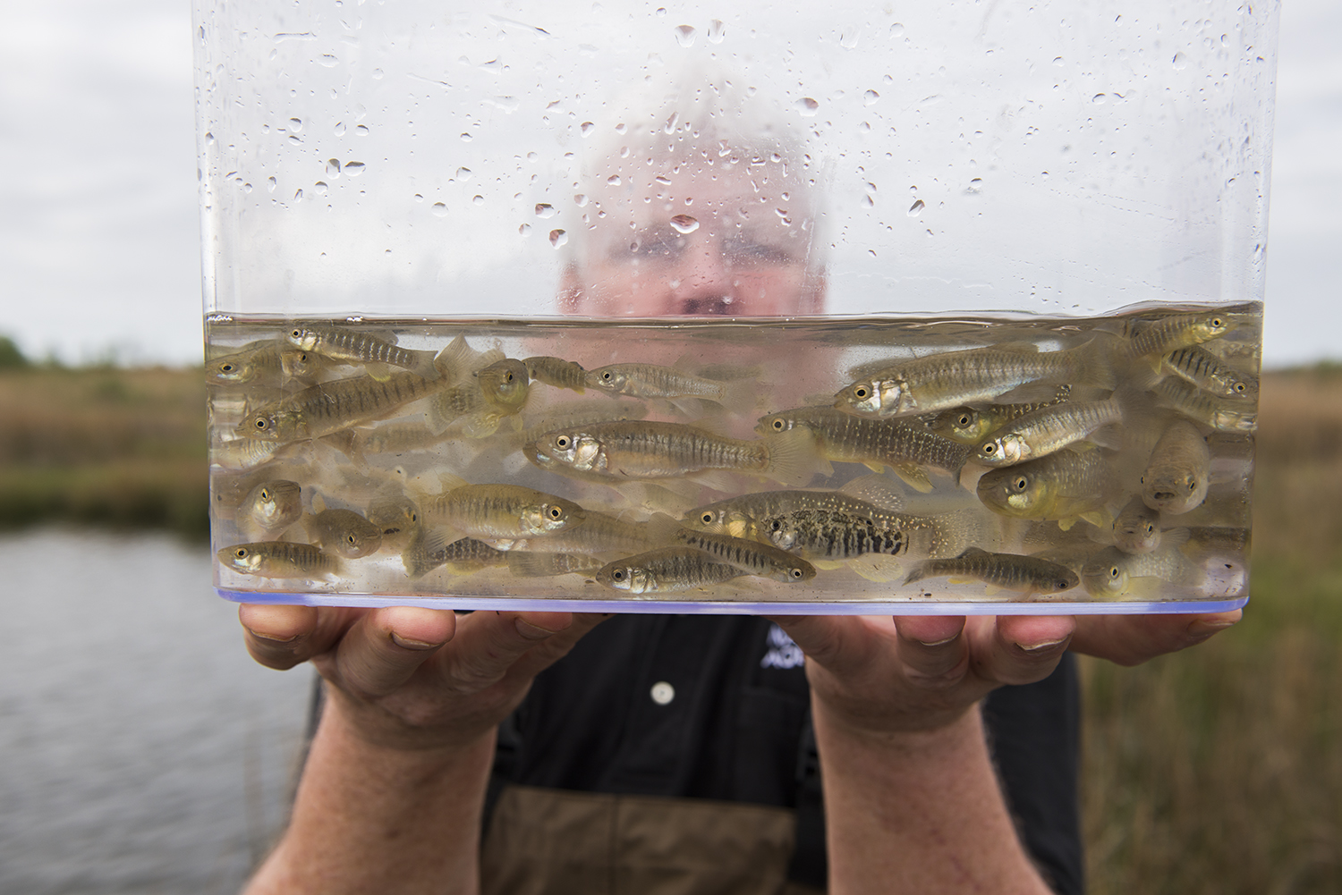 Commercial — Jay Fleming