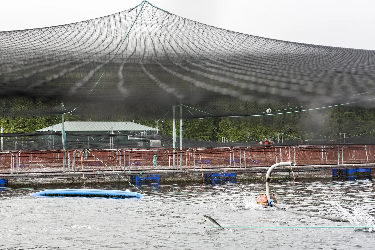 Commercial — Jay Fleming