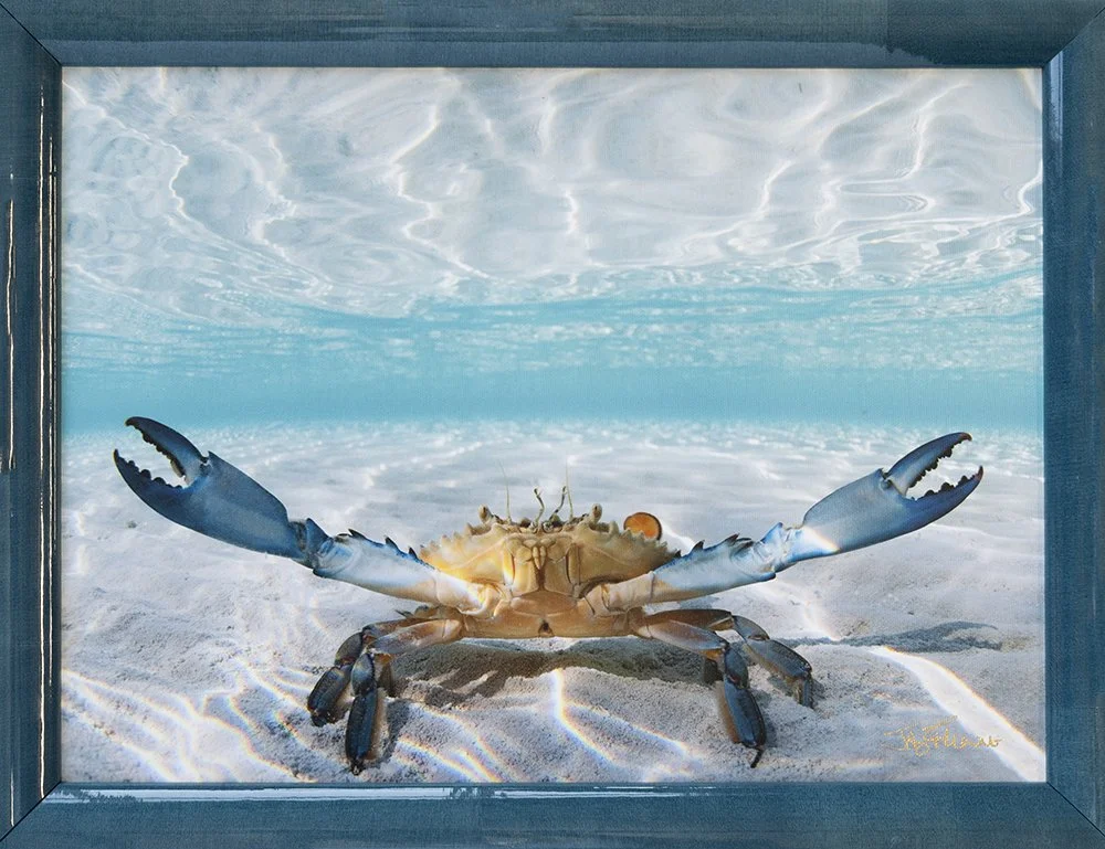 Crab Painting Oil