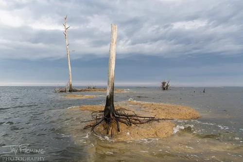 Documenting the end of an era for James Island, Maryland — Jay Fleming