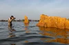 The Disappearance of Bodkin Island in Eastern Bay — Jay Fleming