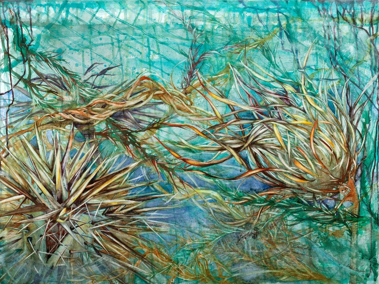 Sarah Alexander – FS Core Artist — Fountain Street