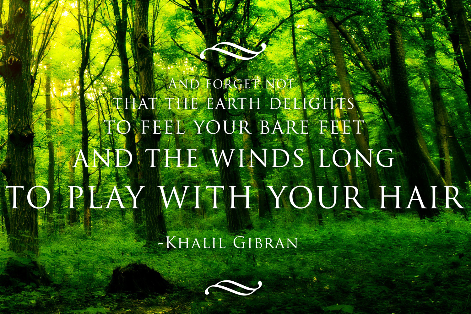 Wisdom — Grounded.com