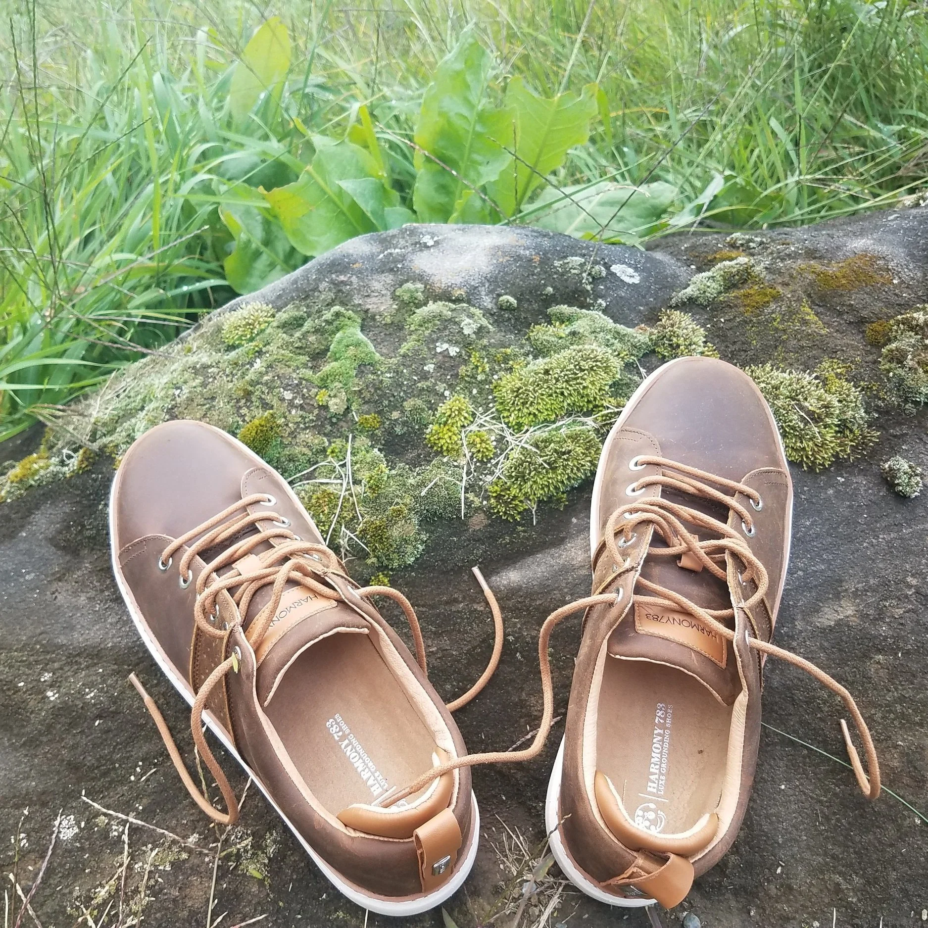 Harmony783 Grounding Shoes for Men & Women — Grounded.com