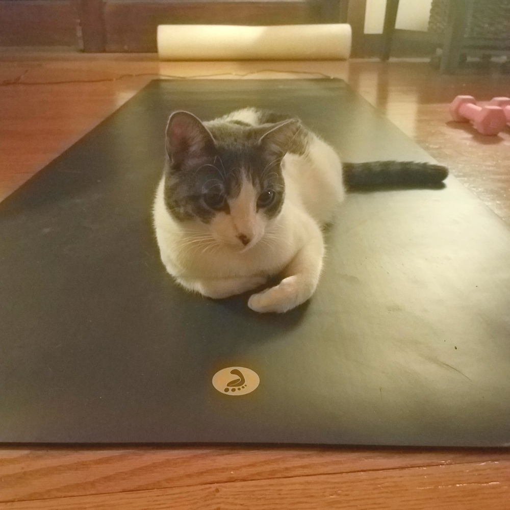 Grounding and Earthing Mats - Grounded.com — Grounded.com