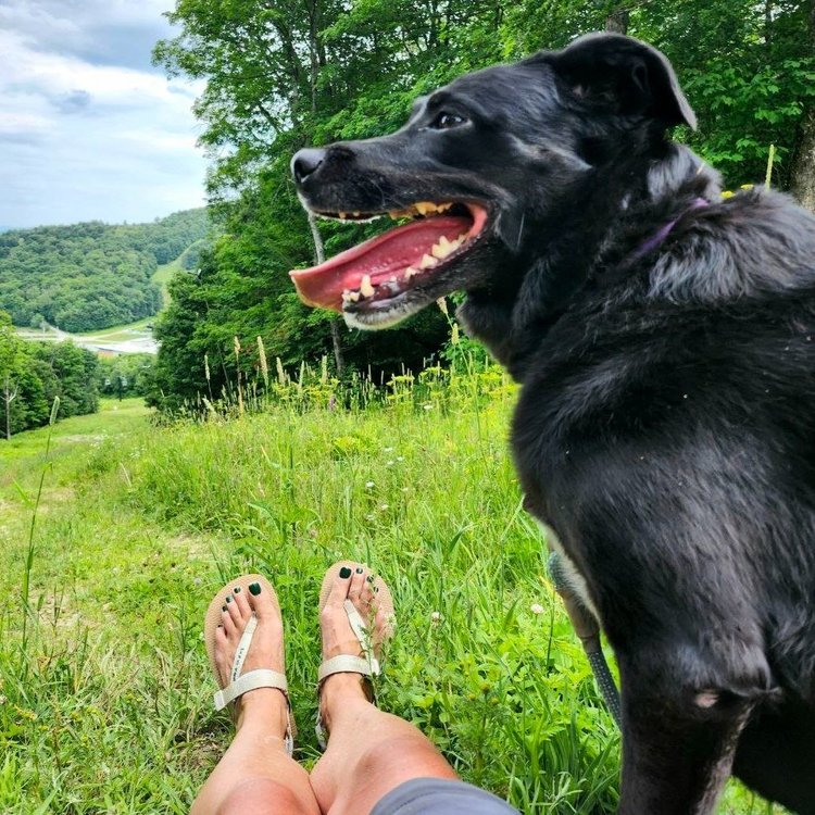 Best Grounding Sandals for Women & Men — Grounded.com