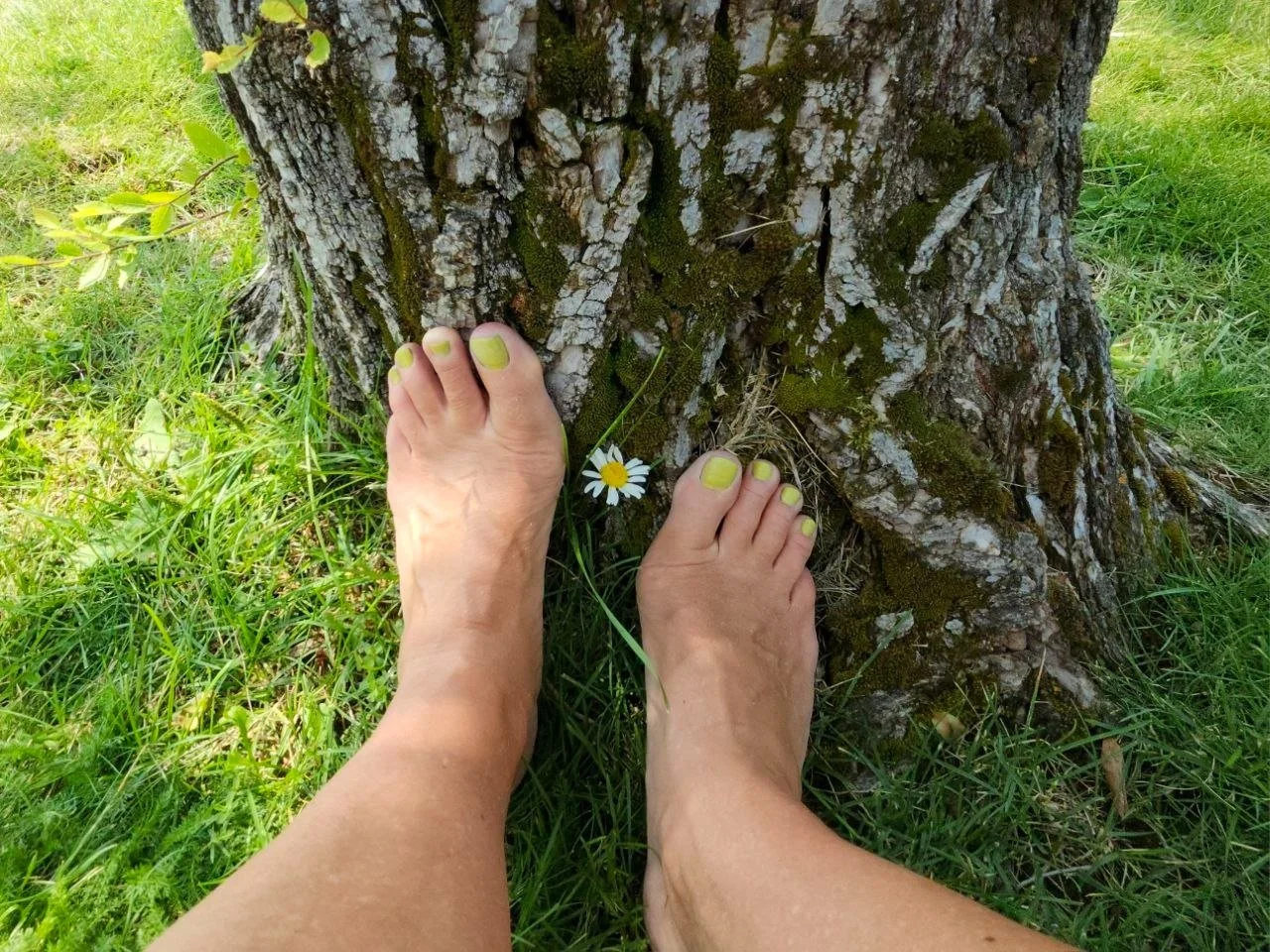 What Is Grounding or Earthing? - Grounded.com — Grounded.com