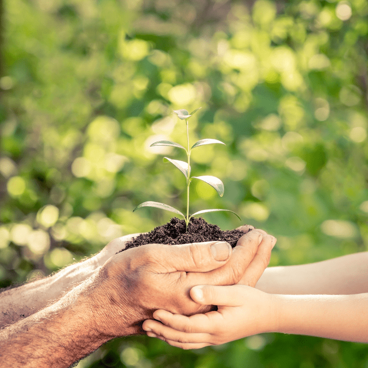 25 Ways to Love the Earth — Grounded.com