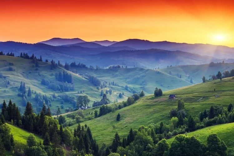 Grounding / Earthing Studies — Grounded.com