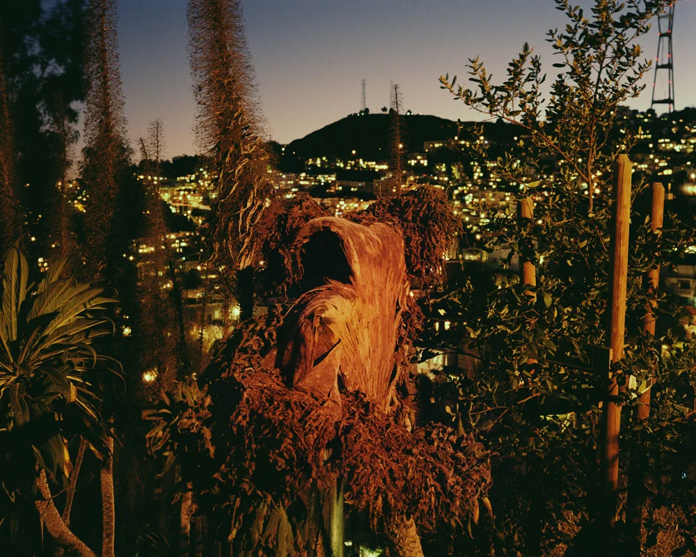 Wenxin Zhang — Fraction Magazine