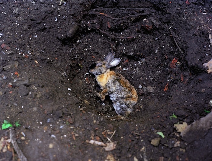 Singularity — Fraction Magazine