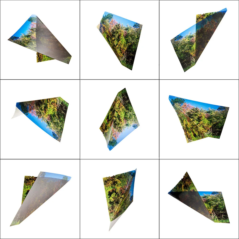 Colleen Fitzgerald — Fraction Magazine