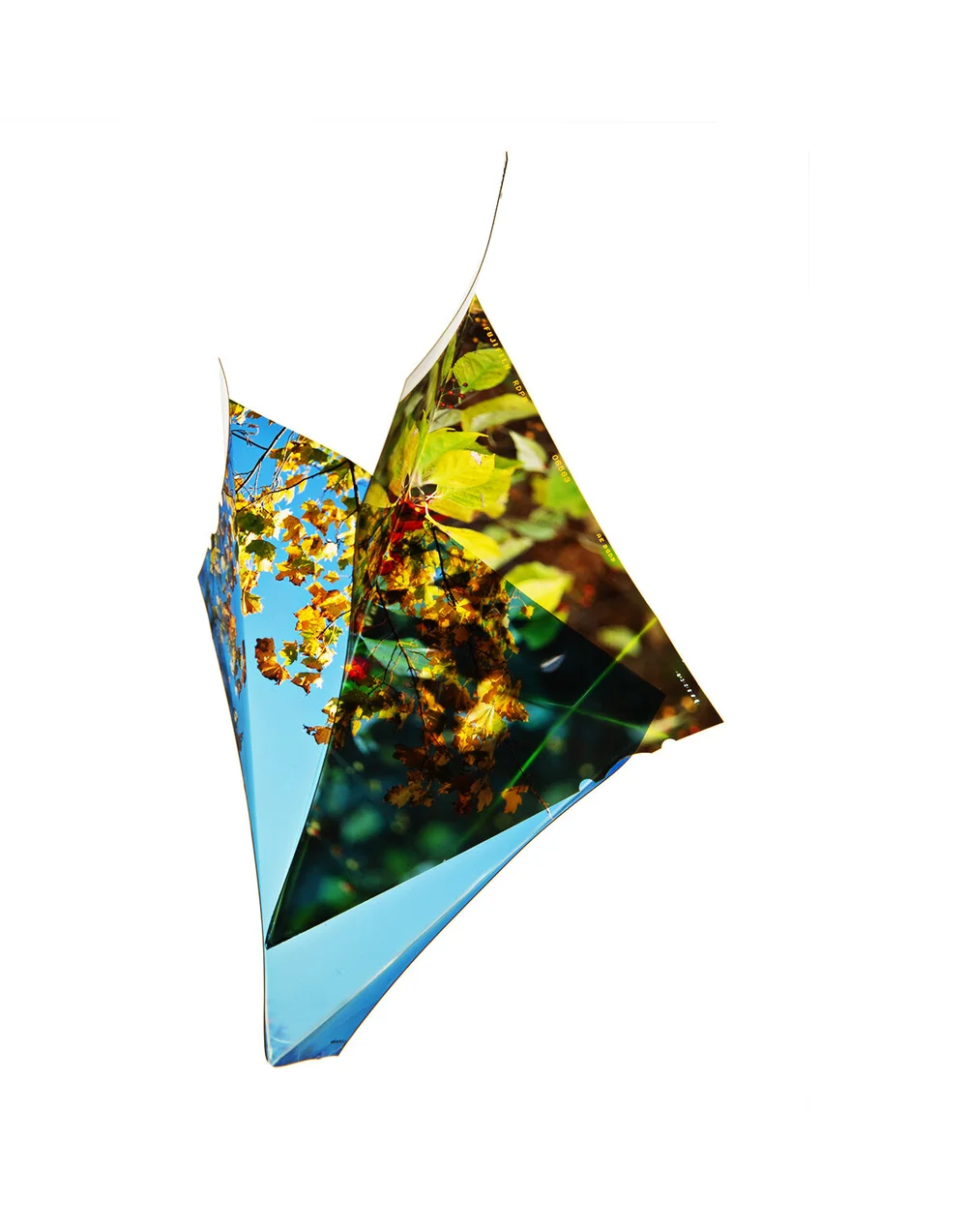 Colleen Fitzgerald — Fraction Magazine