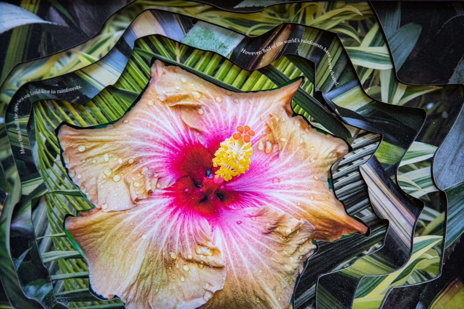 Alyssa Farrell — Fraction Magazine