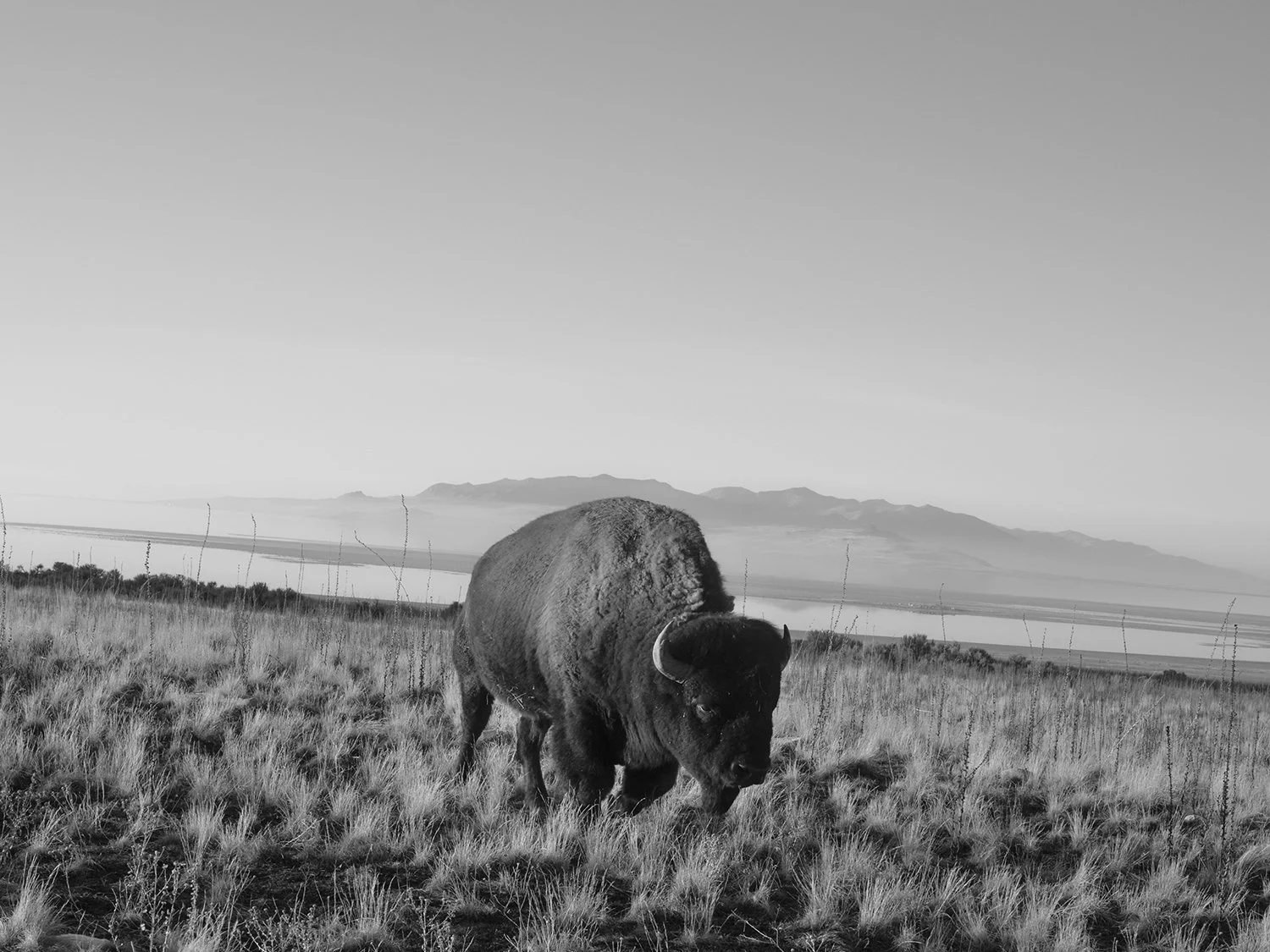 Taylor Galloway — Fraction Magazine