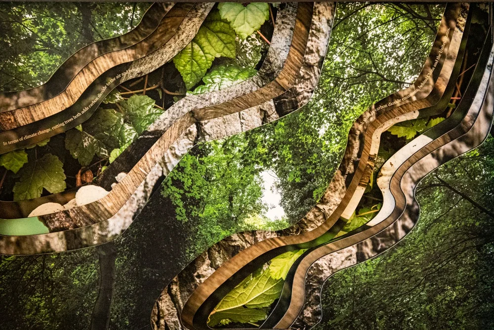 Alyssa Farrell — Fraction Magazine