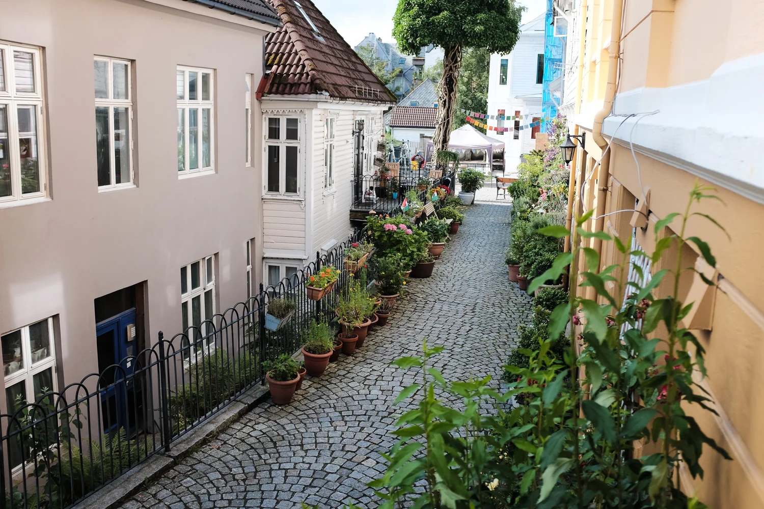 8 [Mostly Not Free] Things You Should Do in Bergen, Norway — L. Raine