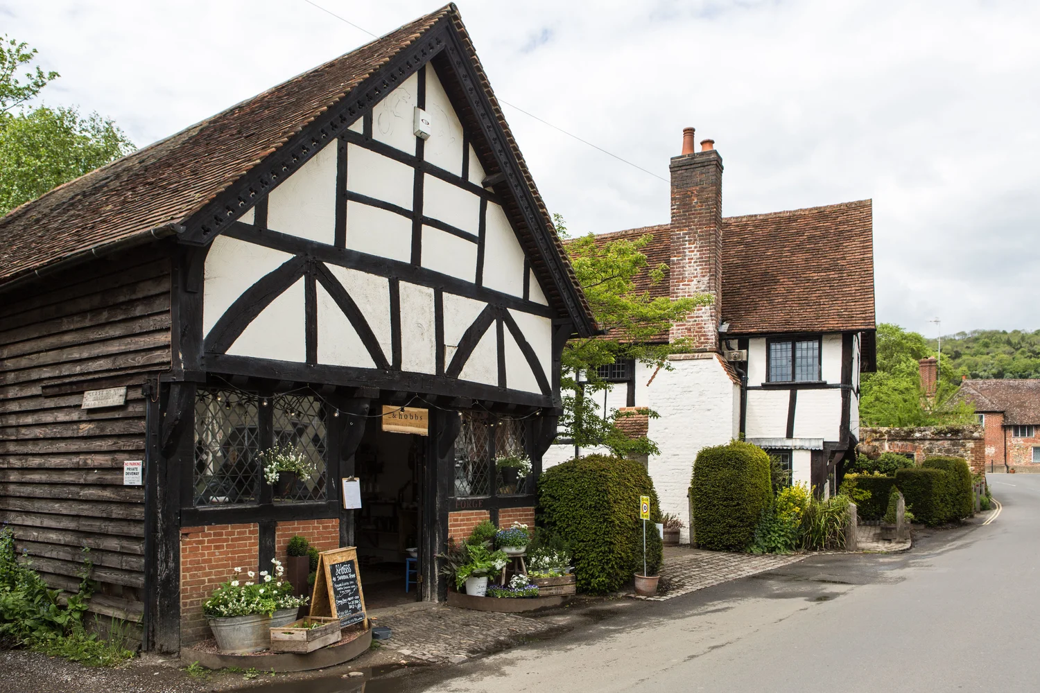 Shere, a day trip from London — elena shamis
