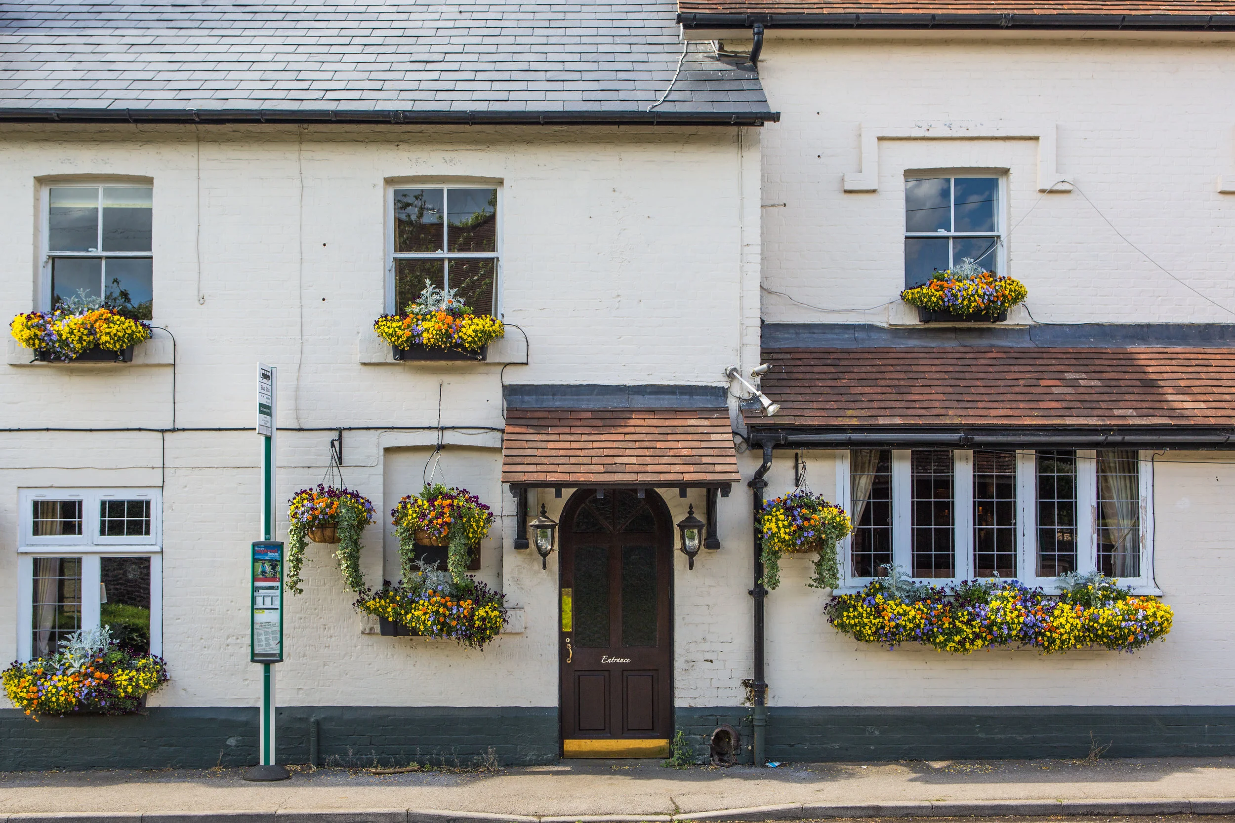 Shere, a day trip from London — elena shamis