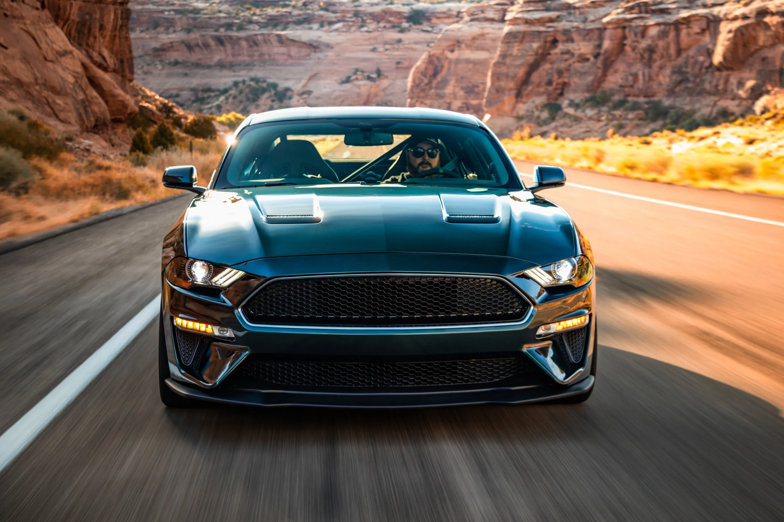 2019/2020 Steve McQueen Edition Bullitt Mustang™ - Limited Edition ...