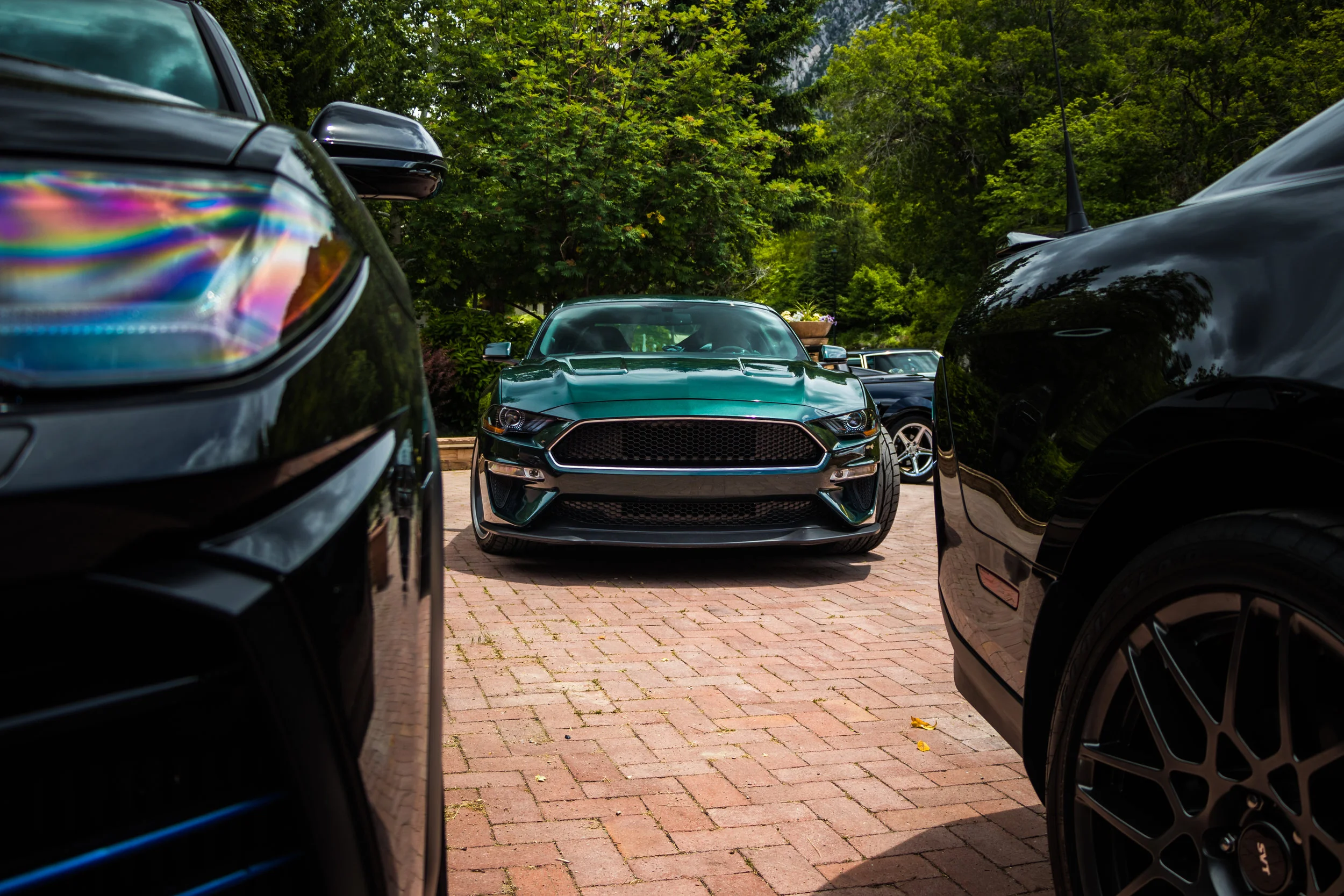 2019/2020 Steve McQueen Edition Bullitt Mustang™ - Limited Edition ...