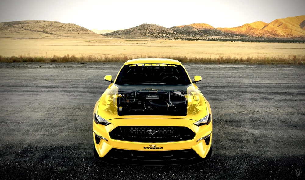 2015 - 2025 Model Years Steeda Q500 Enforcer™ - Performance Redefined ...