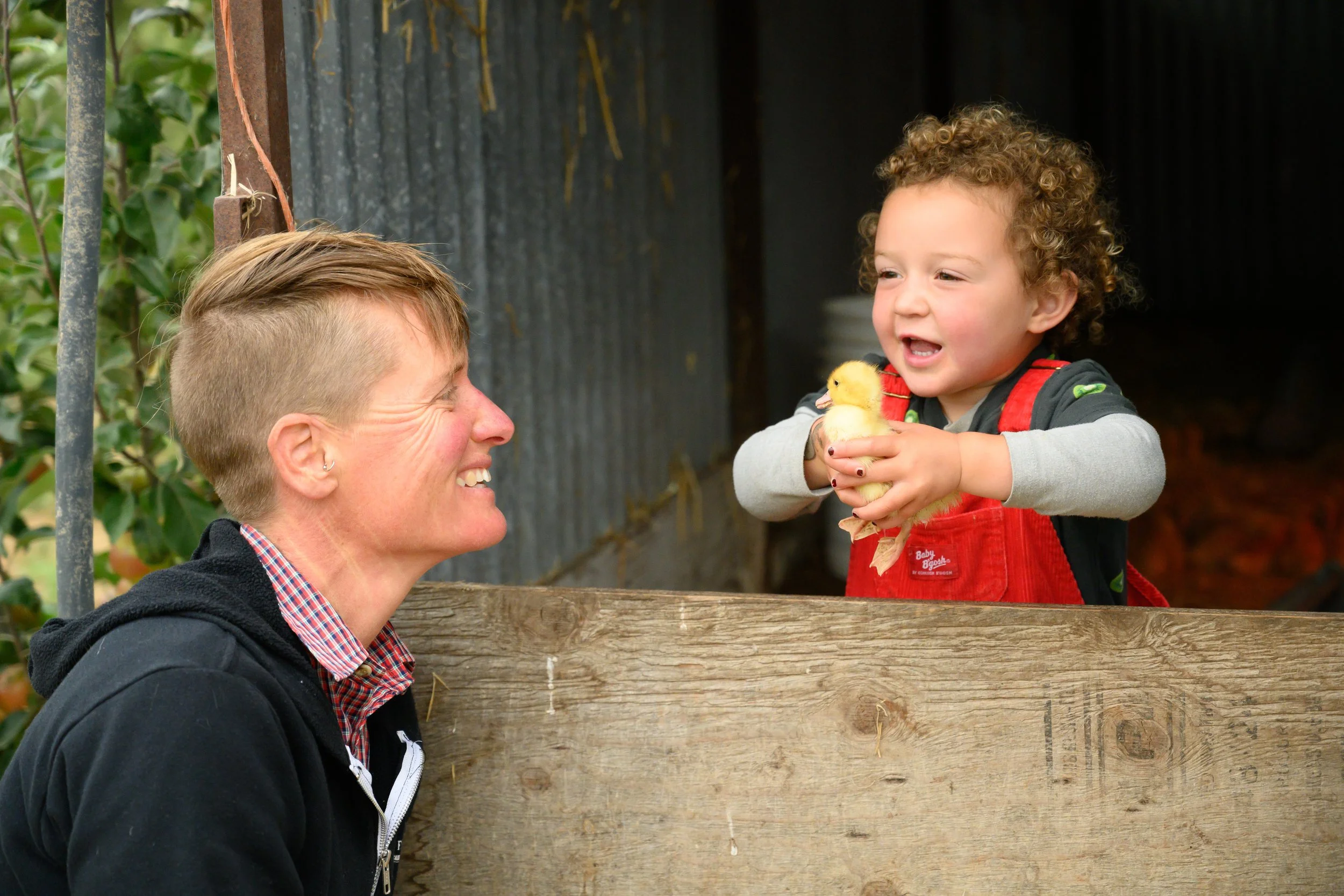 About — Root Down Farm