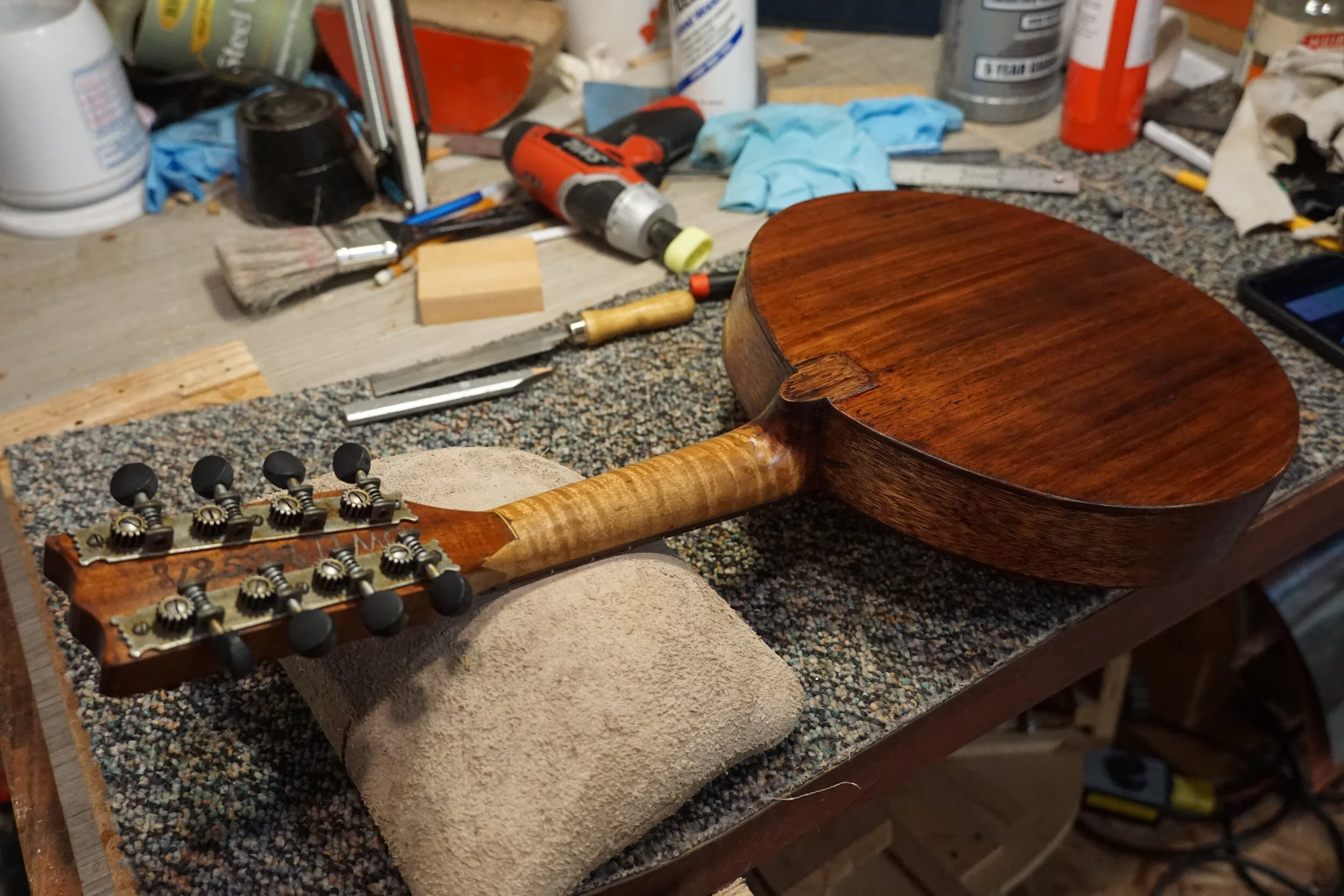 Handmade Mandolin Restoration — Maxwell T. Sipe