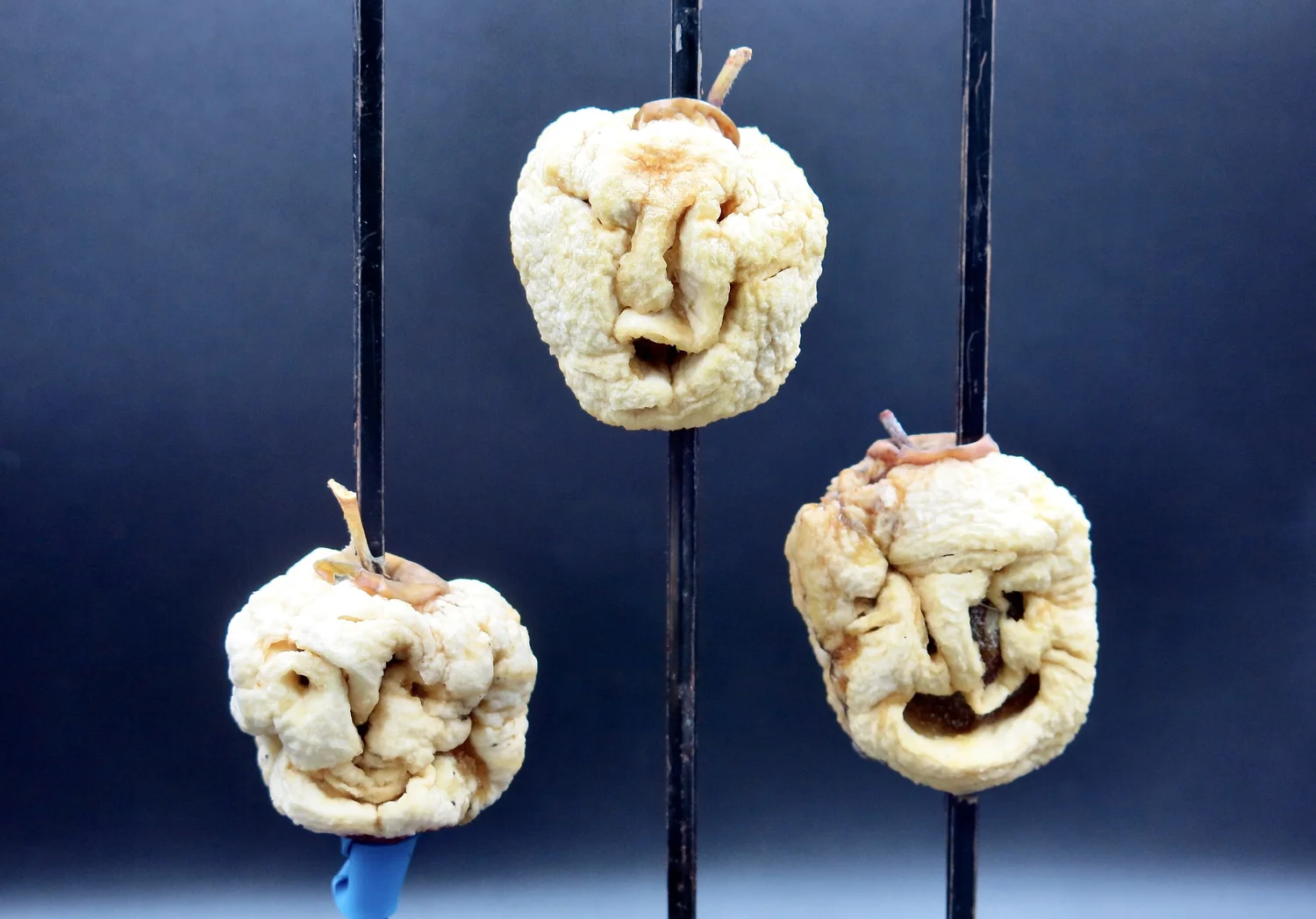 Making Apple Head Dolls — Brian Francis