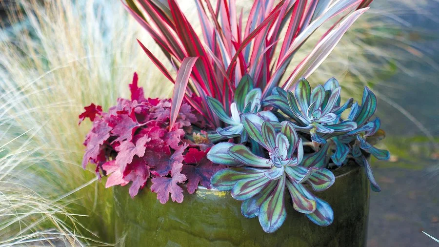 Offered Services | Interior Design I Color Consultations I Plant ...