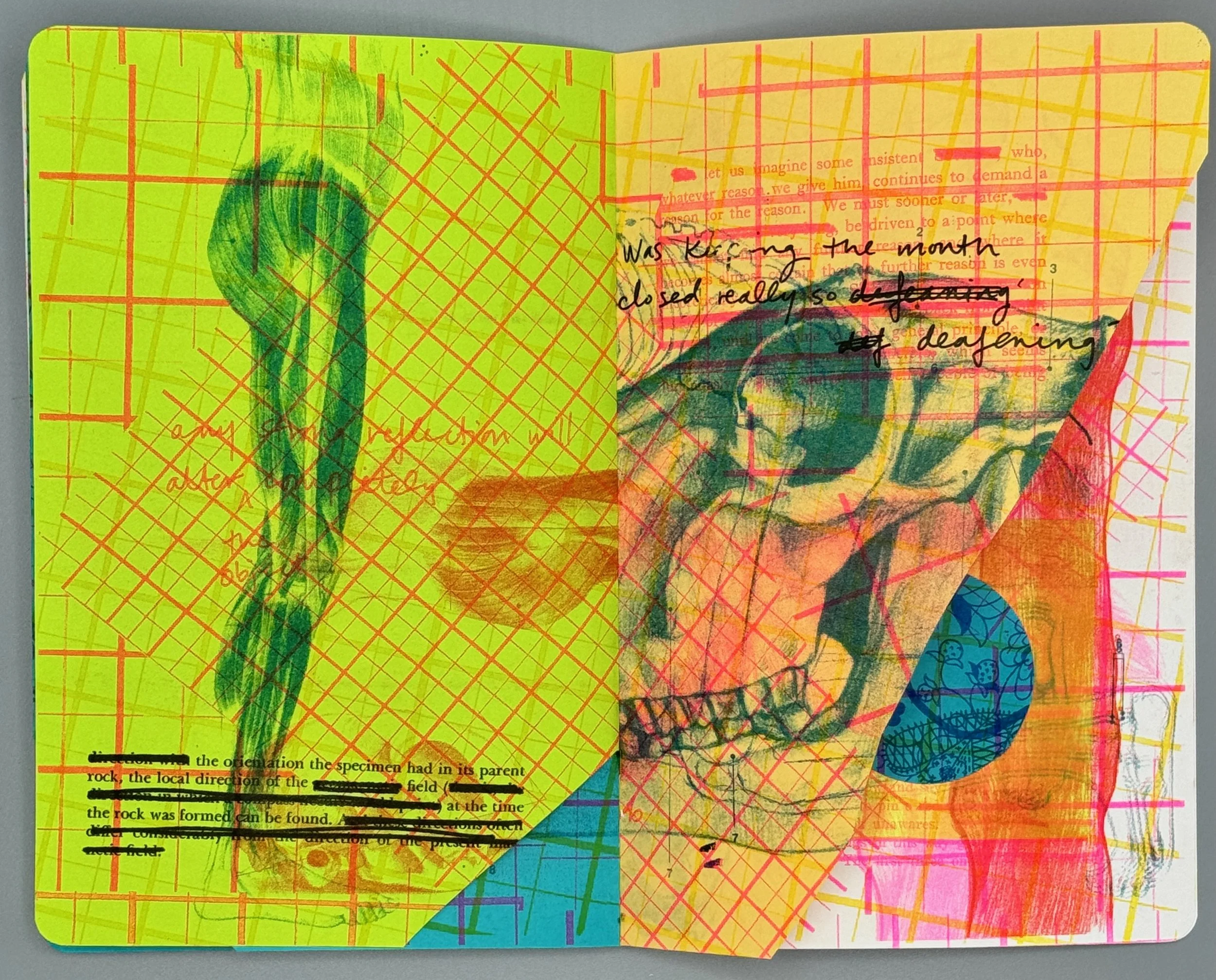 The Swimmer Wears Her Suitcase — RACHEL SIMMONS