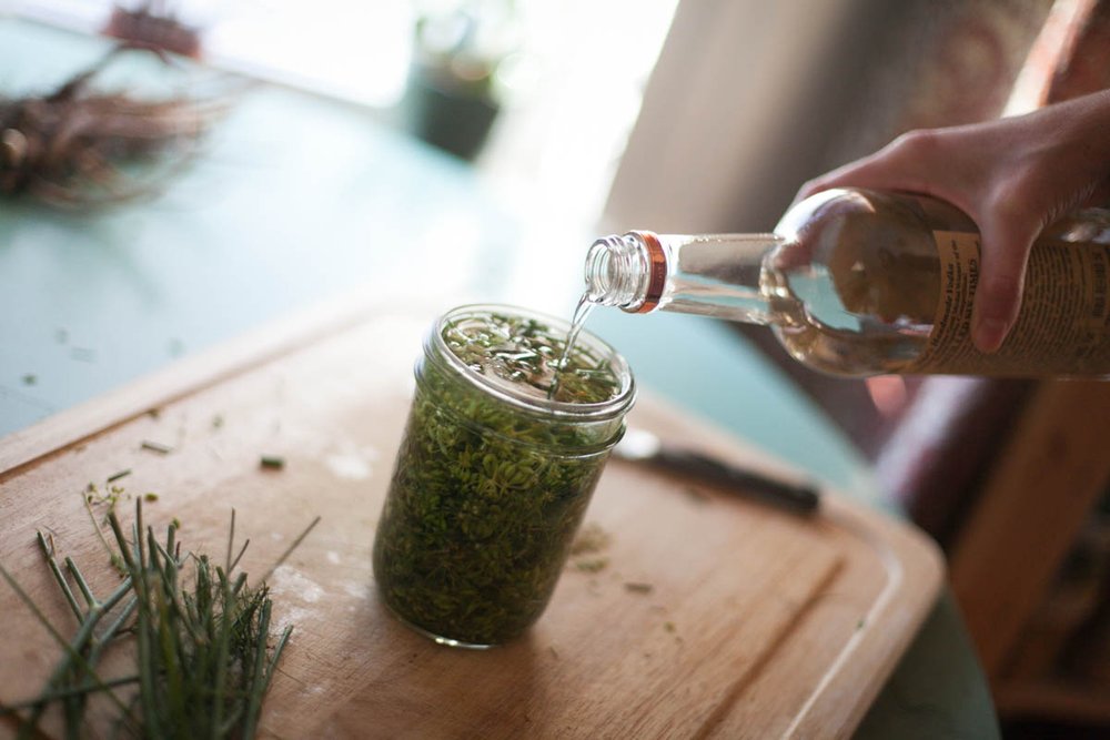 Monthly Muse: Steph Zabel — Cambridge Naturals