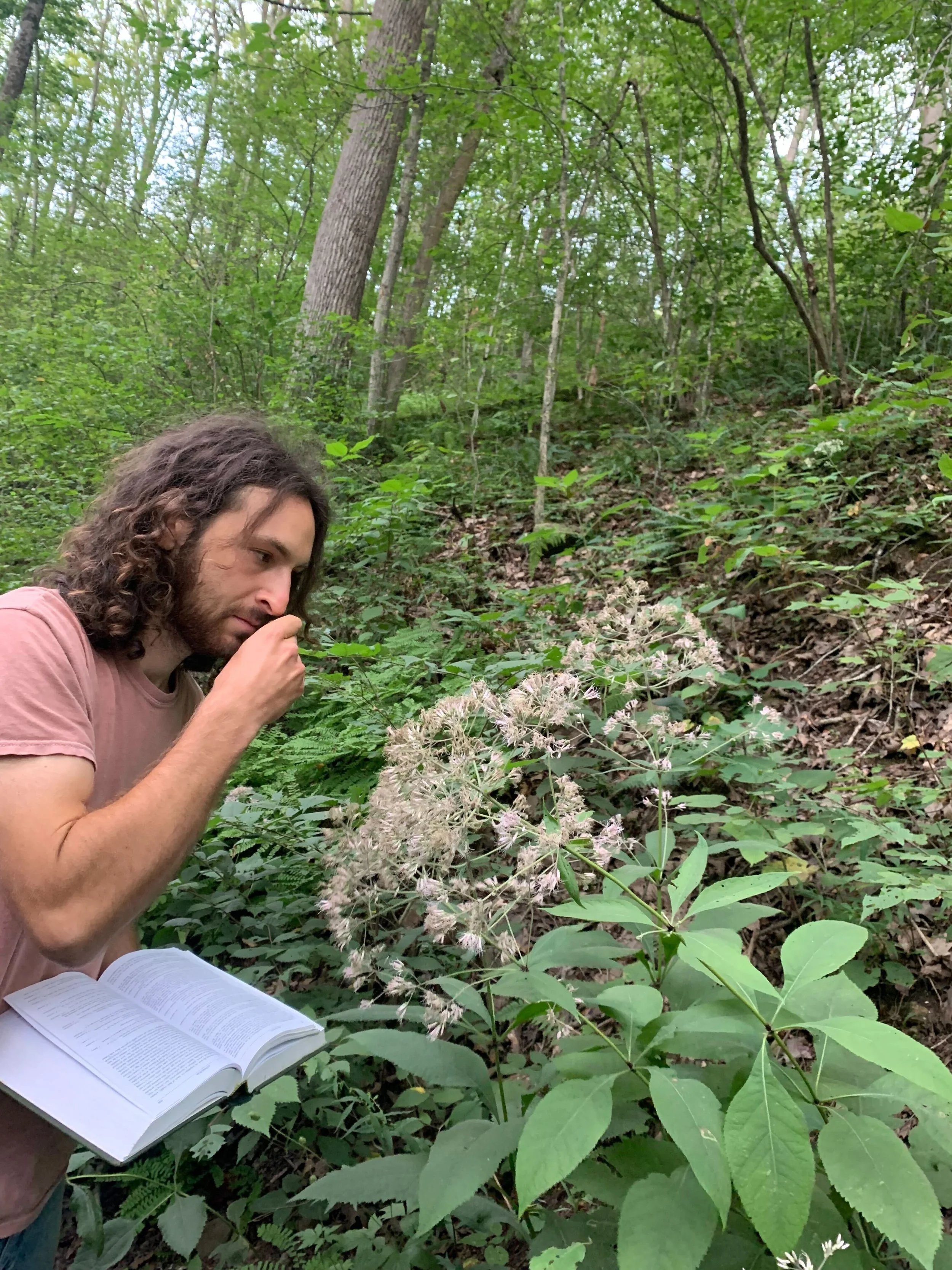 Herbs for Skeletal Muscle Pain Support with Alex Klein — Cambridge Naturals