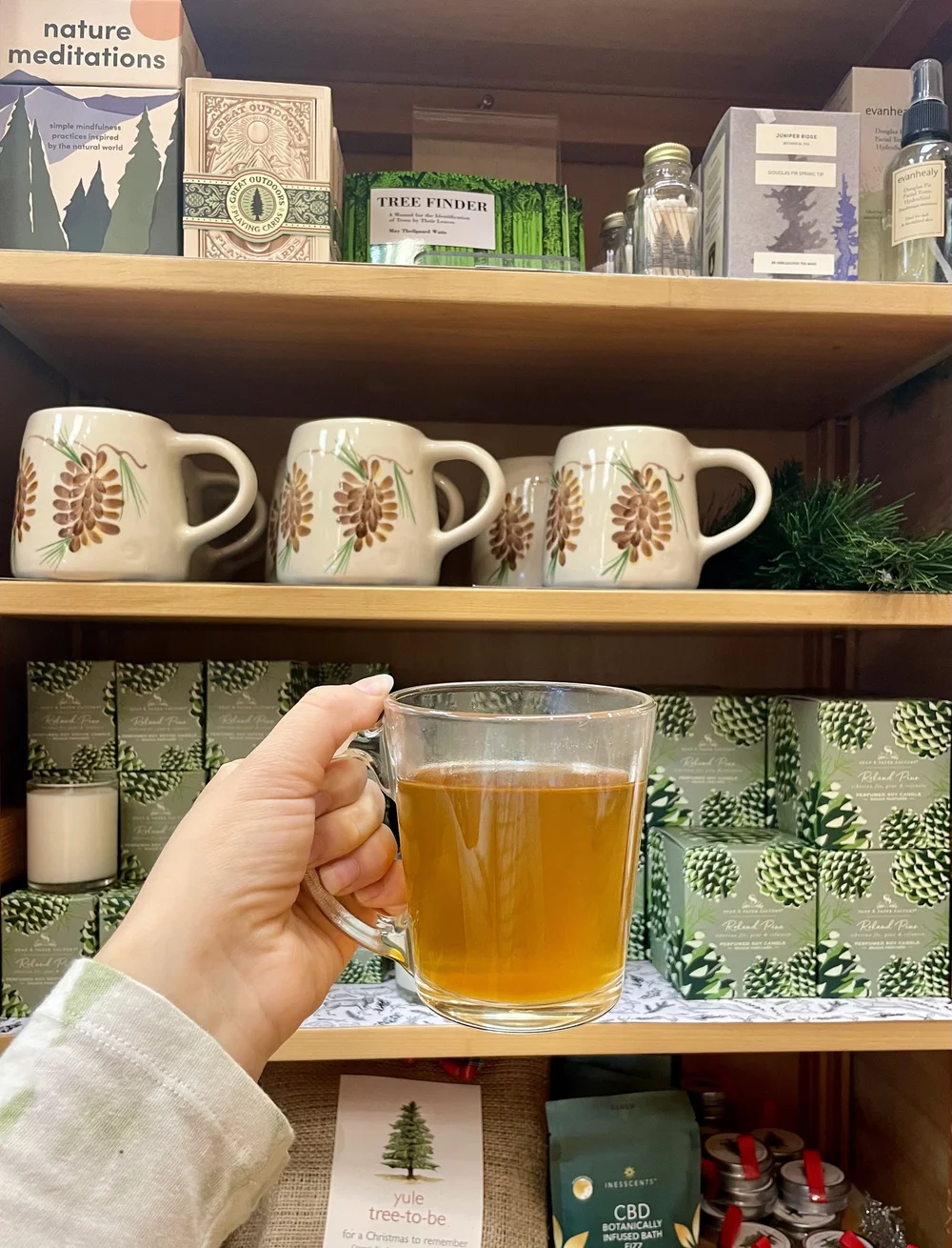 Sagittarius Season Tea! — Cambridge Naturals