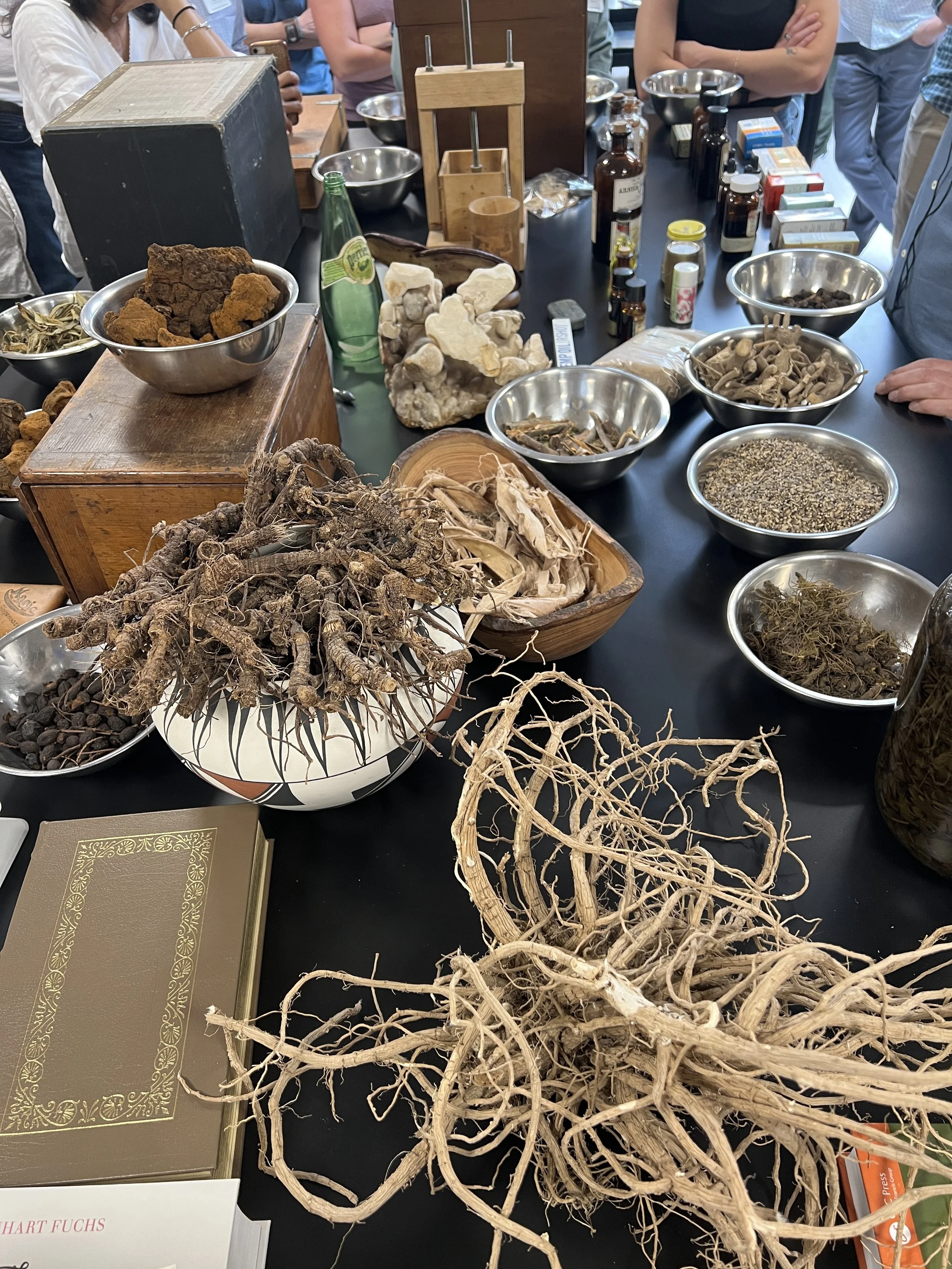 Spotlight on: Vitality Works! — Cambridge Naturals