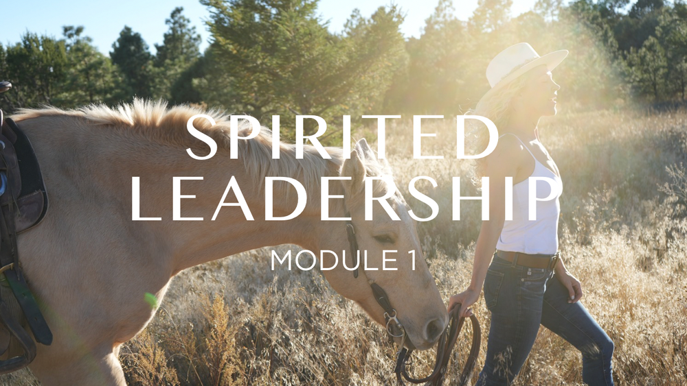 Spirited Leadership — Nicole Meline