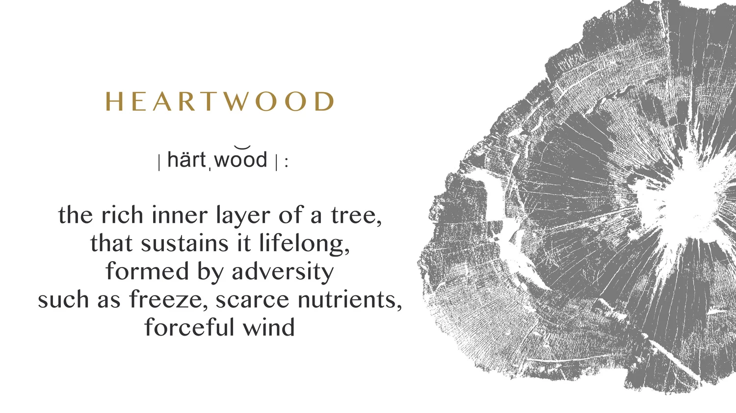 Heartwood: Your Strongest Year — Nicole Meline