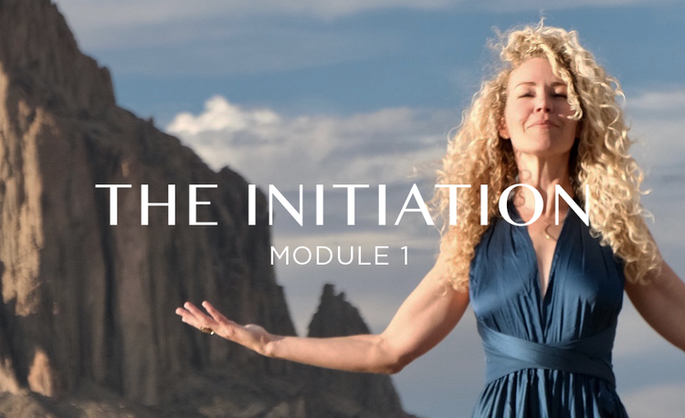Visionary Volume 1: Your Dream Year — Nicole Meline
