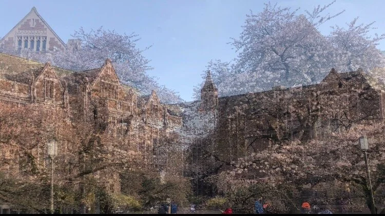 Sacré Coeur de Montmartre — mary lamery