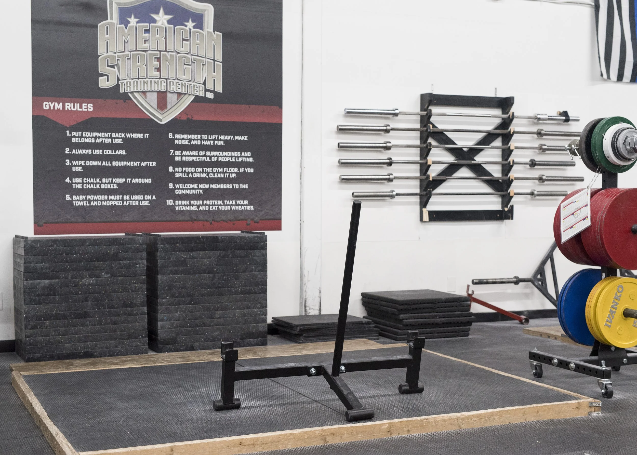 Discover Elite Gym Equipment at American Strength MN — American ...