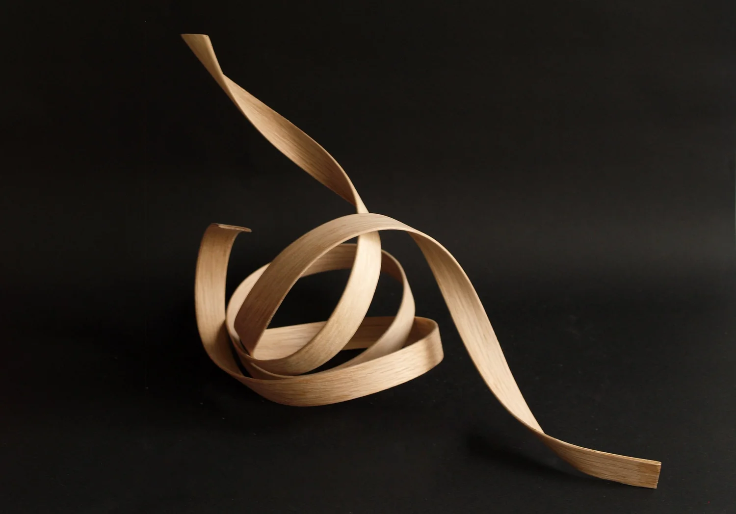 Free Form Bending —Nucharin Wangphongsawasd (นุชจริน หวังพงษ์สวัสดิ์)