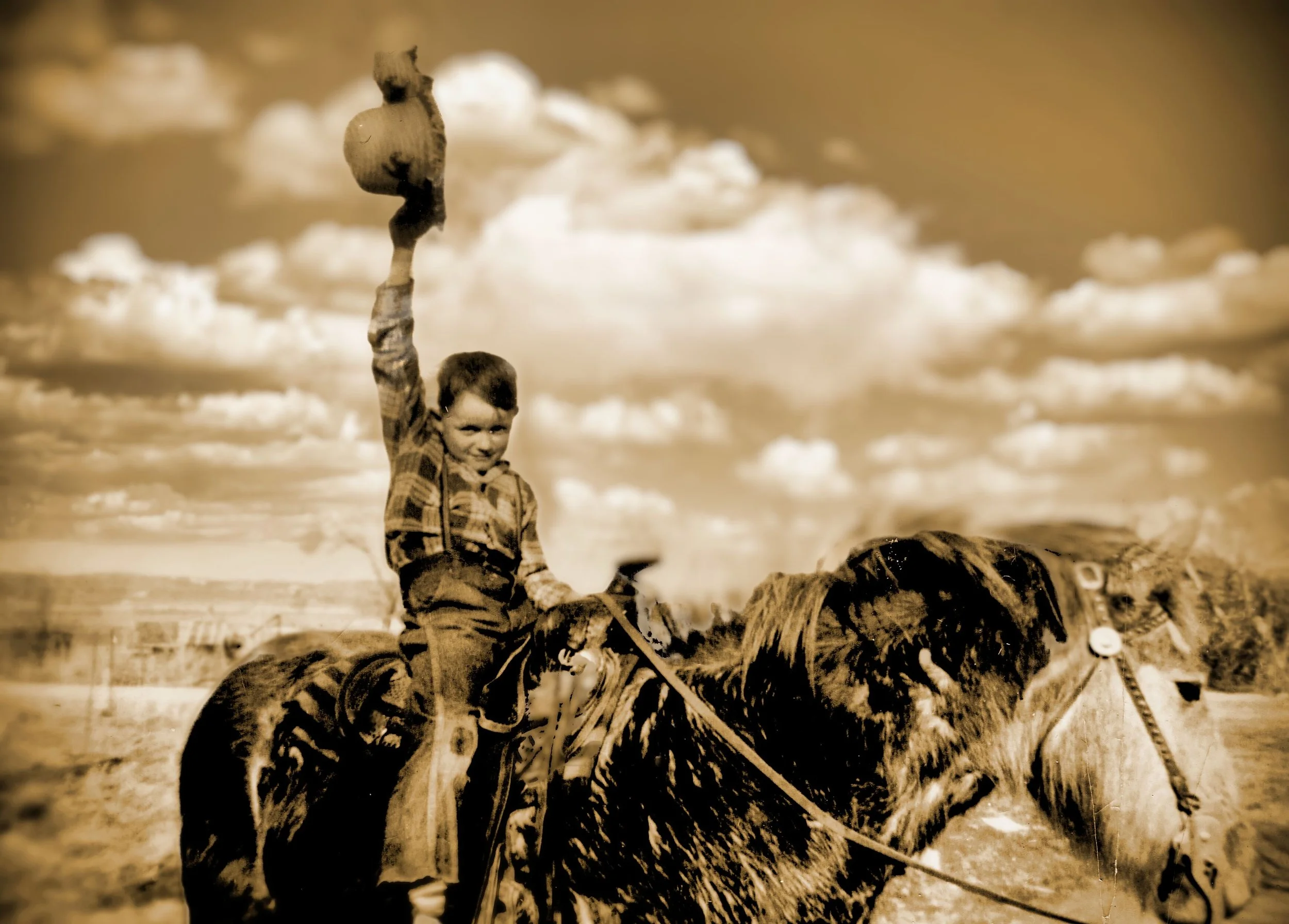 Obituaries — Alden-Waggoner Funeral Chapel & Crematory