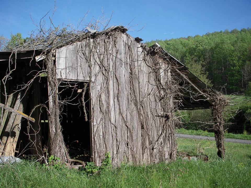 old shack — Beauty Everyday