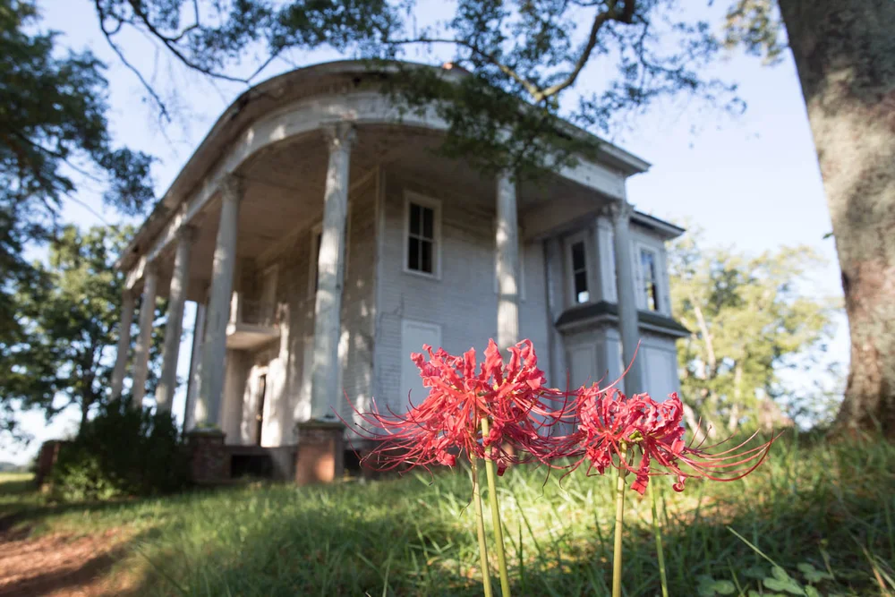 the nolan house — Beauty Everyday
