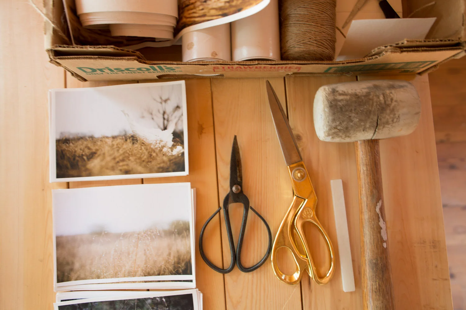 nettles & french studio — Beauty Everyday