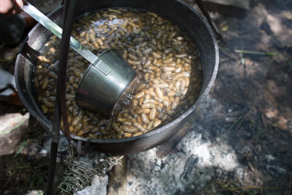 boiled peanuts over the fire — Beauty Everyday