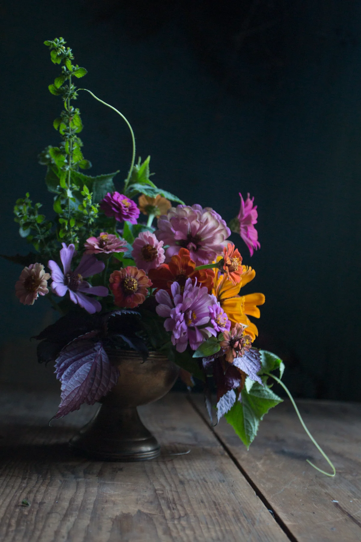 zinnia color! — Beauty Everyday